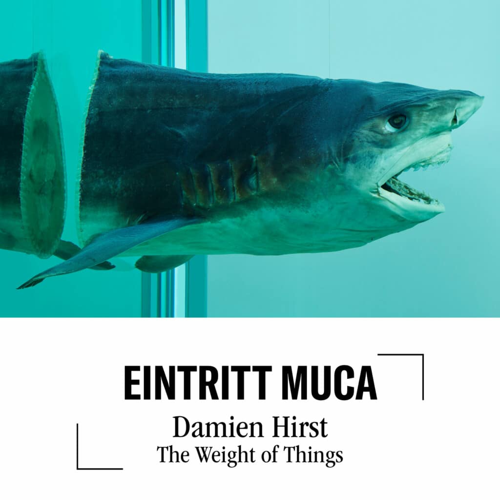 (Okt-Dez)Eintritt MUCA | Damien Hirst – The Weight of Things - MUCA Webshop
